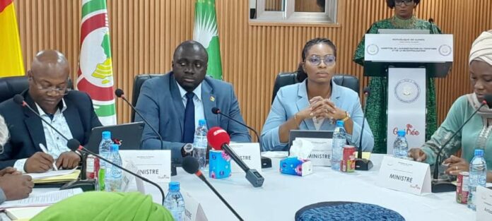 Guinée/ MATD : Deuxième session du comité de pilotage de suivi ...