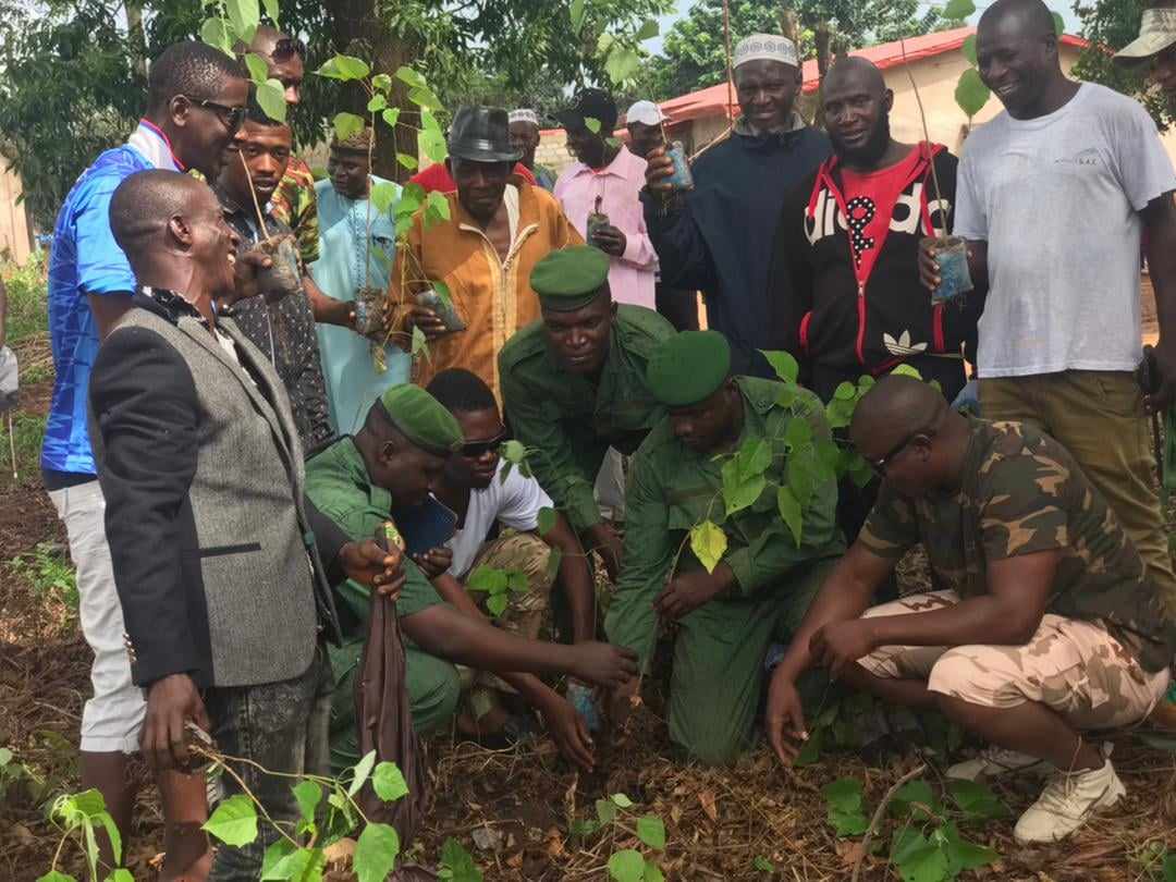 Forécariah/Environnement : Reboisement de 04 hectares à Maferinyah ...