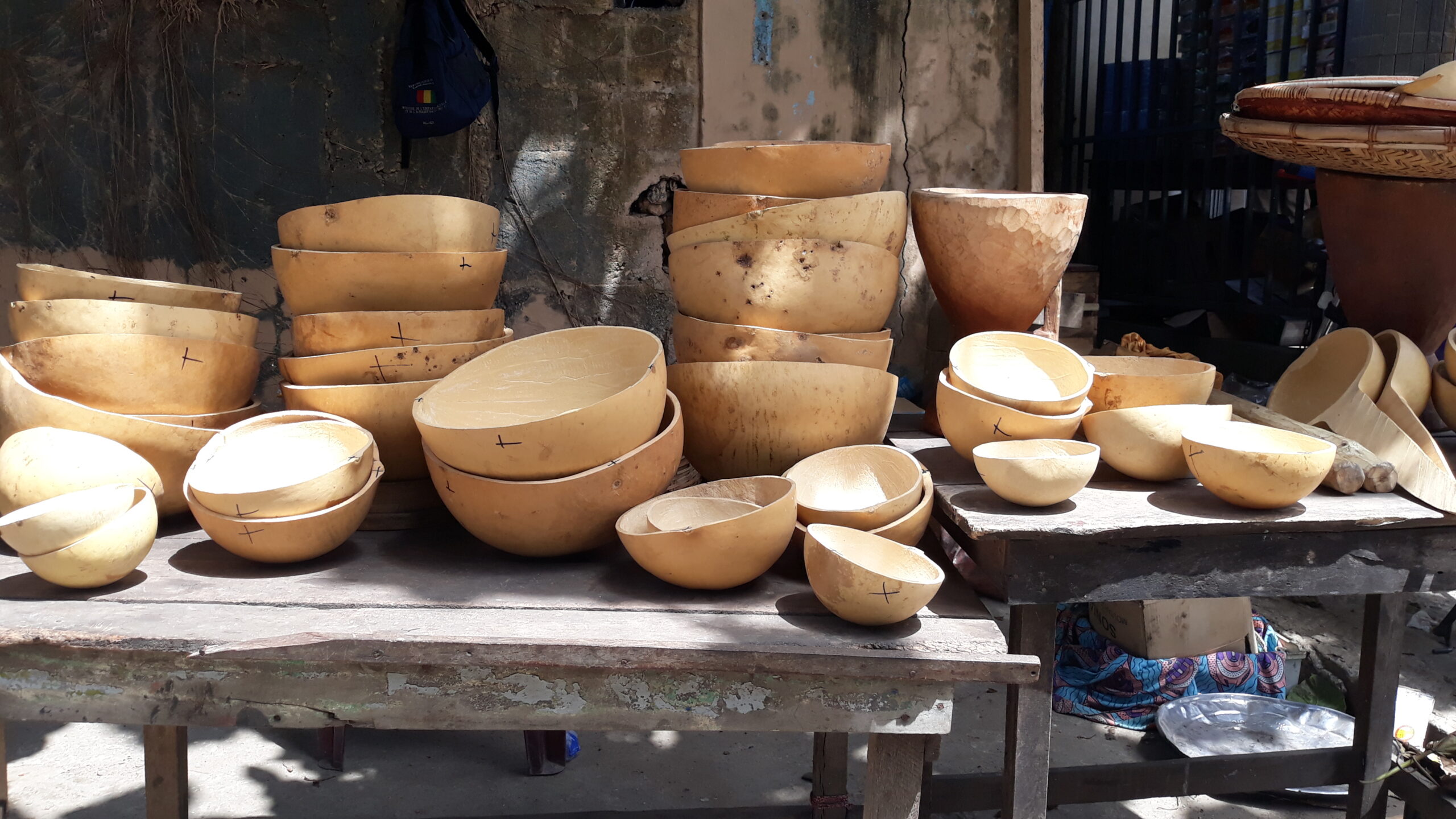 Guinée/Société : Origines et vertus de la calebasse dans les communautés africaines - AGP GUINEE