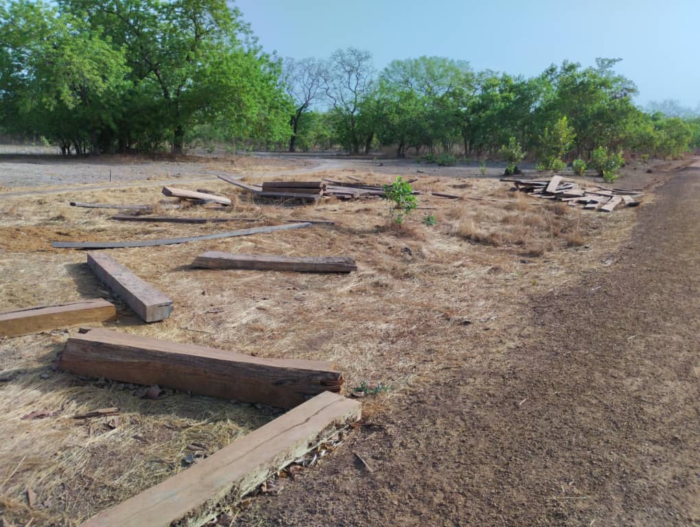 Koundara/Environnement : Les forêts classées de Kaourane menacées par ...