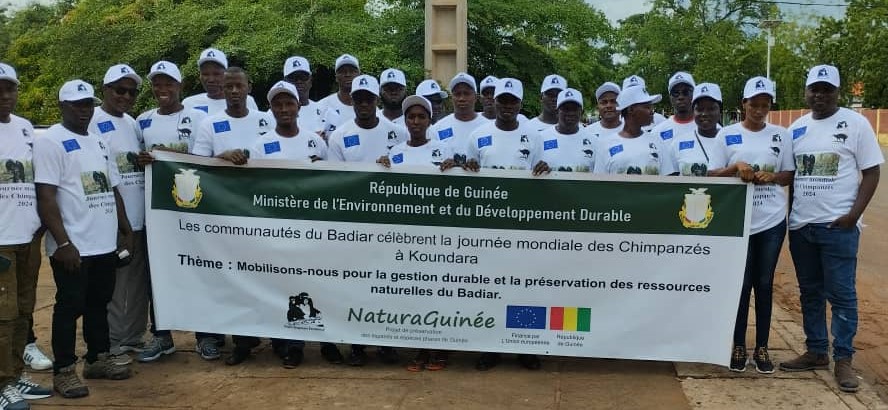 Koundara/Biodiversité : La journée mondiale des chimpanzés célébrée ...
