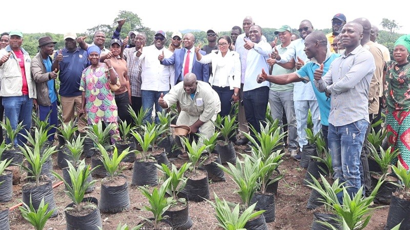 Yomou/Industrie : Début d’une nouvelle ère à la SOGUIPAH - AGP GUINEE