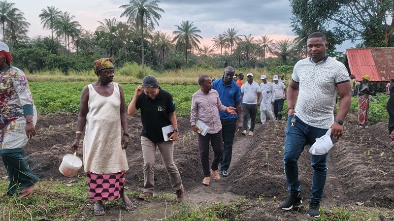 Boké-Agriculture: Une Mission de la JICA évalue la mise en œuvre de l ...